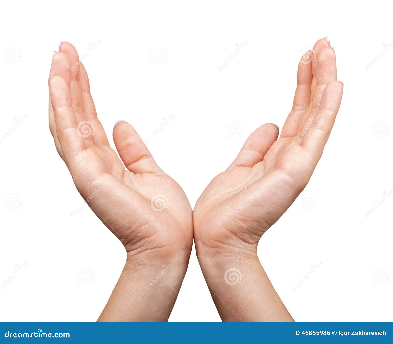 Women s open hands stock photo. Image of hold, helping - 45865986