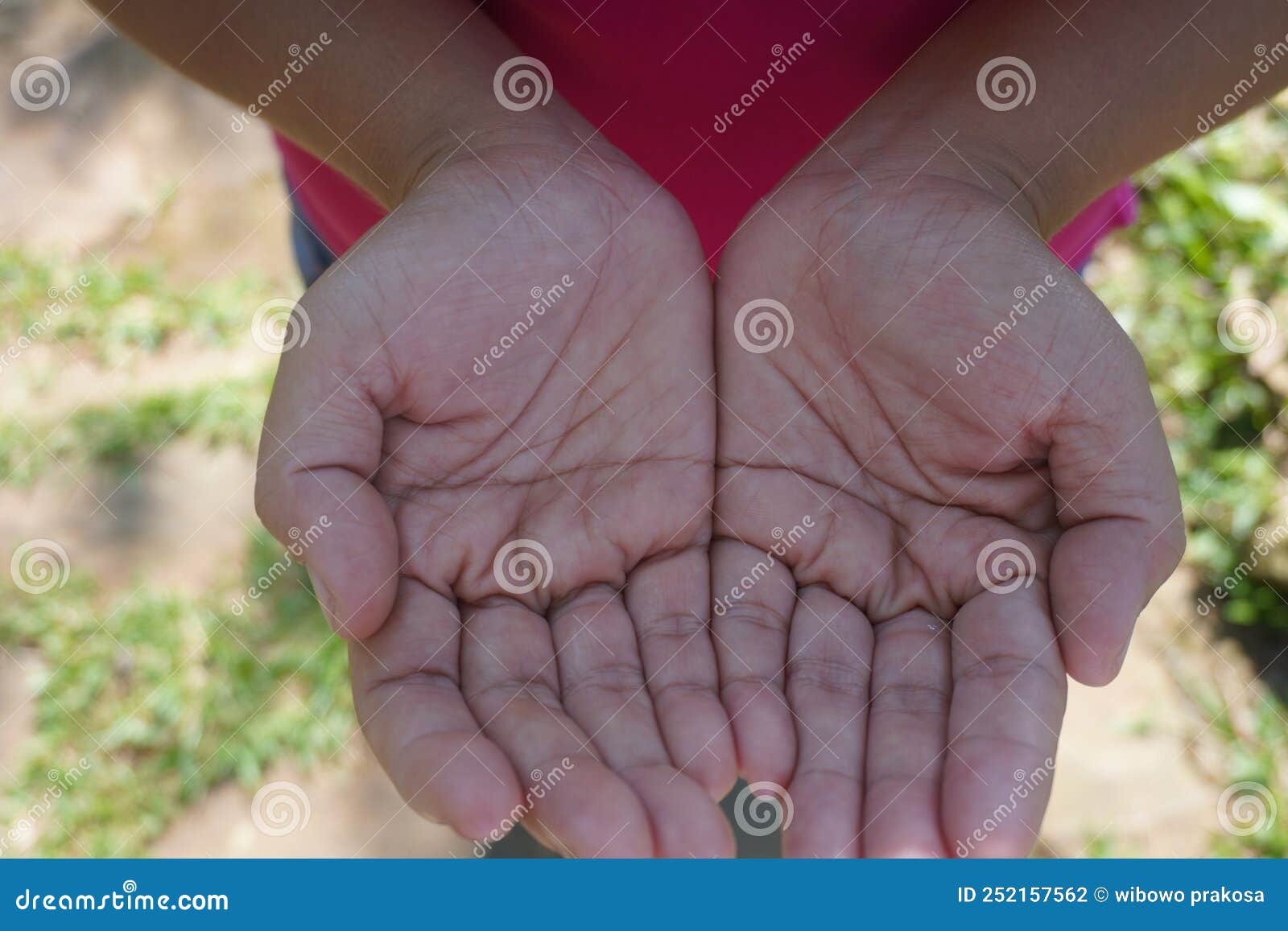 Women`s palms facing up stock photo. Image of palms - 252157562