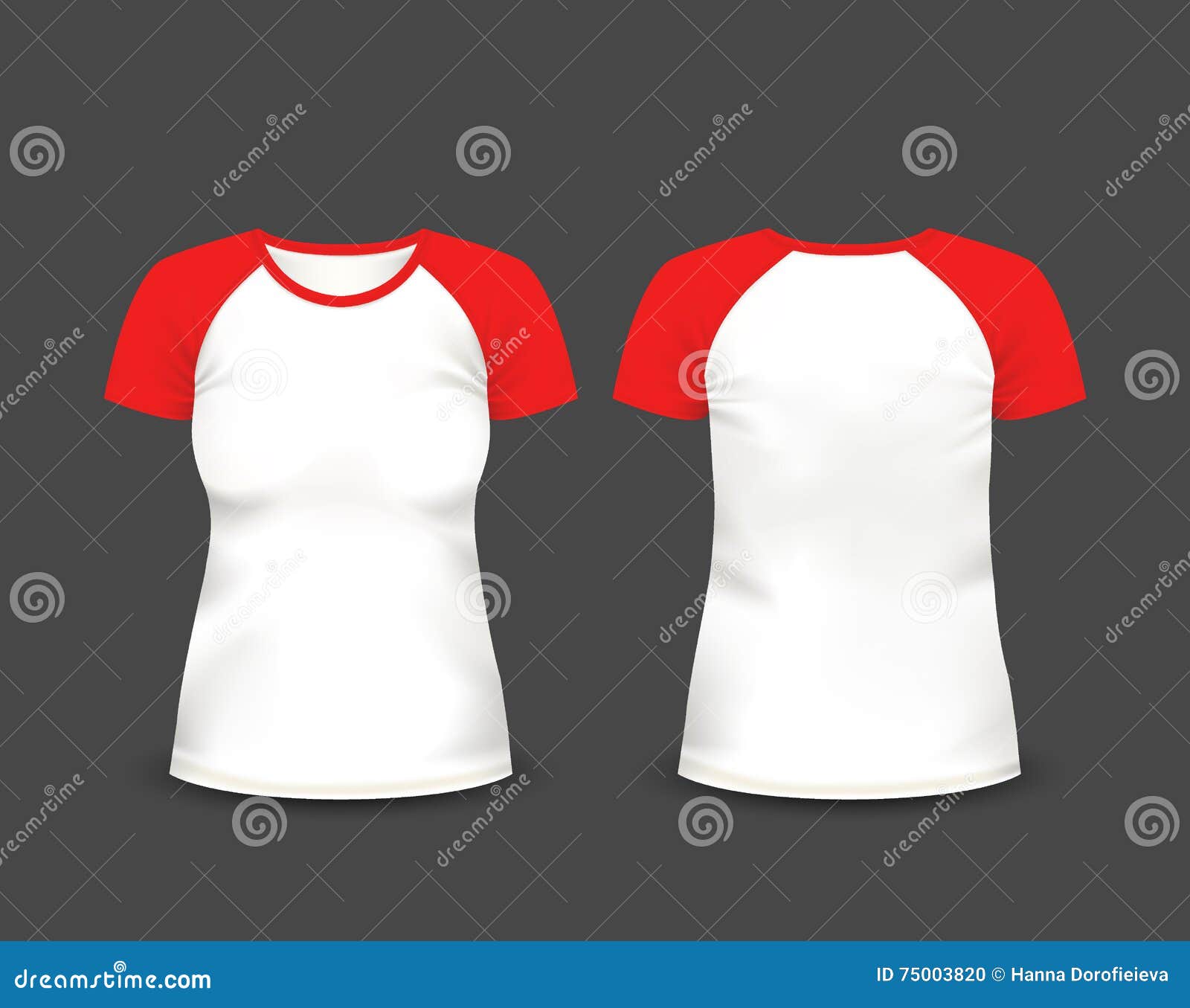 Women S Raglan T-shirt in Front and Back Views. Vector Template Stock ...