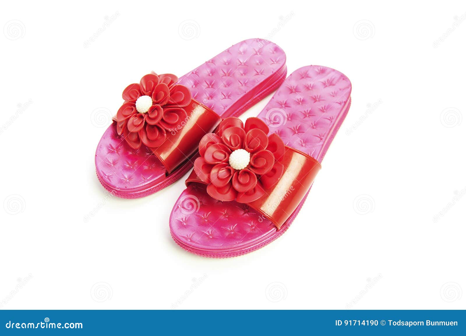 Women Sandals Isolated On White Background Stock Photo - Image of wear ...