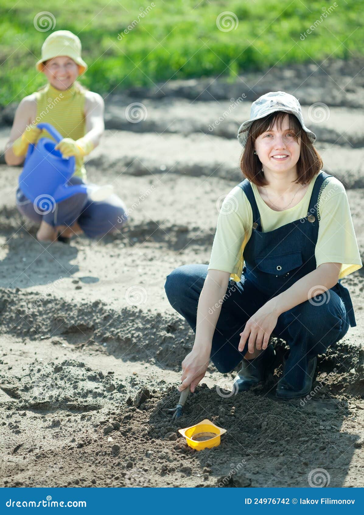 Women sows seeds in soil stock photo. Image of agriculturalist - 24976742