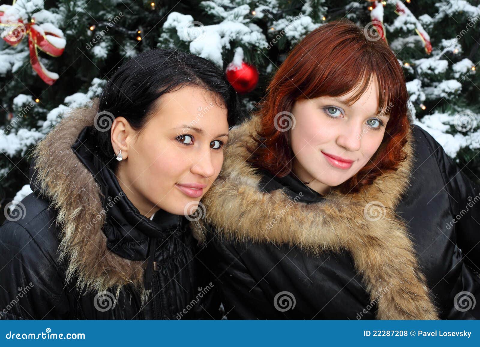 Amity Tree Stock Photos - Free & Royalty-Free Stock Photos from Dreamstime