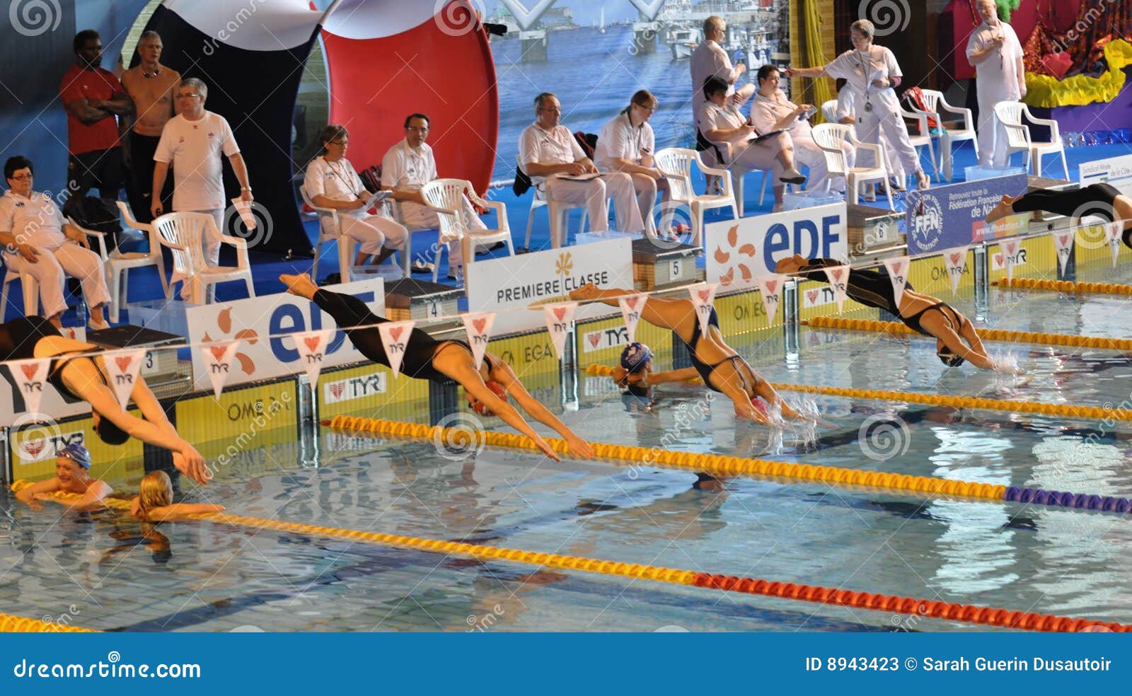 Women swimmers diving editorial stock photo. Image of athletes - 8943423