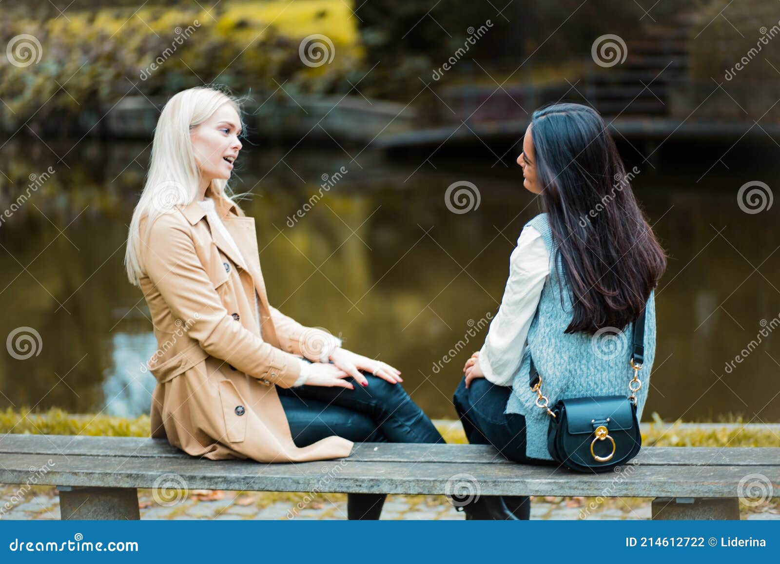 Women talking in the park stock photo. Image of friends - 214612722