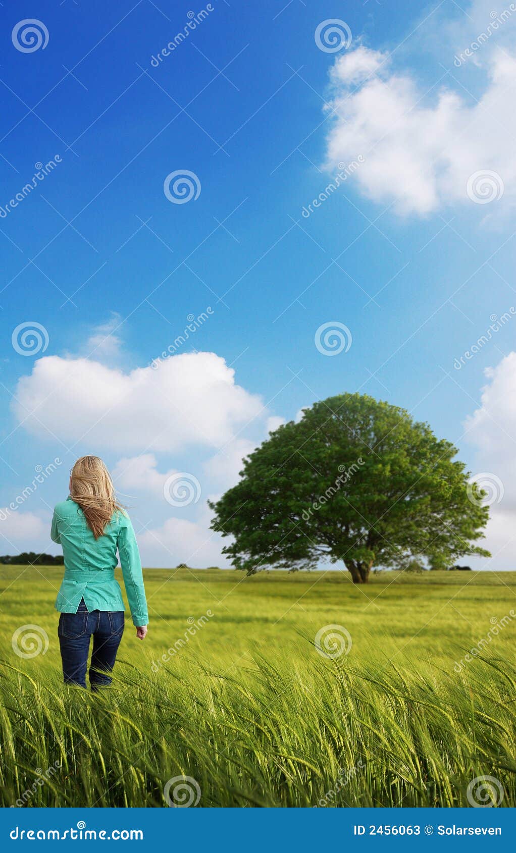 Women and tree stock image. Image of seeds, beauty, recreation - 2456063