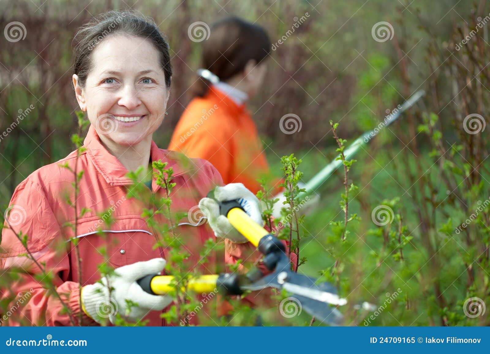 Women trimming bough stock image. Image of hobby, portrait - 24709165