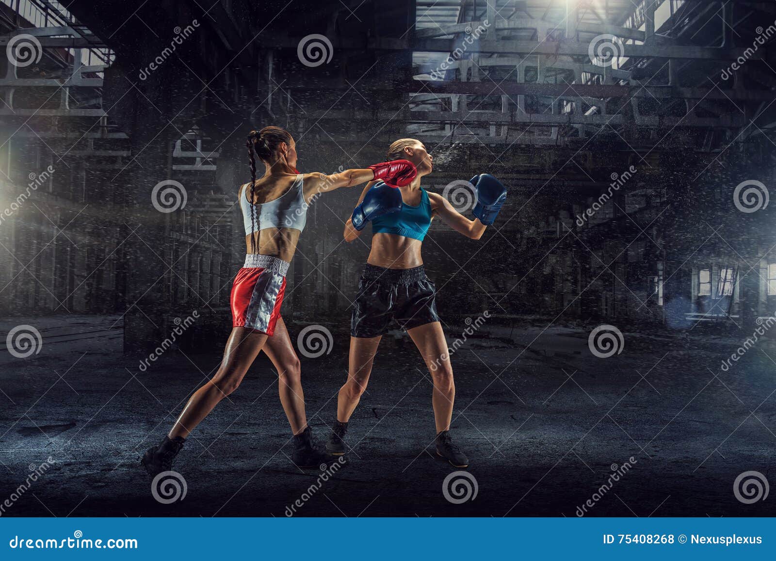 Women Ultimate Fighting . Mixed Media Stock Photo - Image of boxer ...