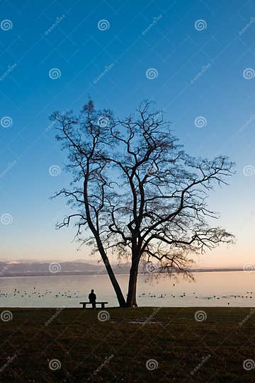 Women under a tree stock image. Image of waiting, europe - 8310235