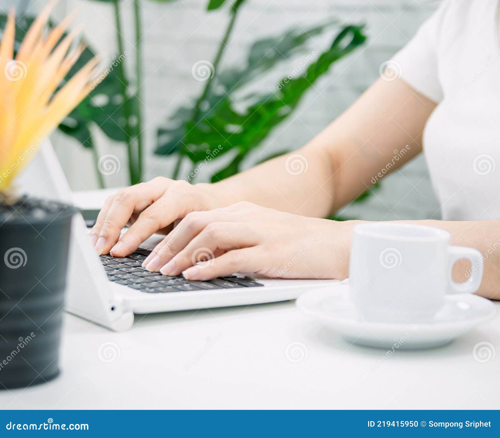 Women Used To Work with Computers Online Business Stock Photo - Image ...