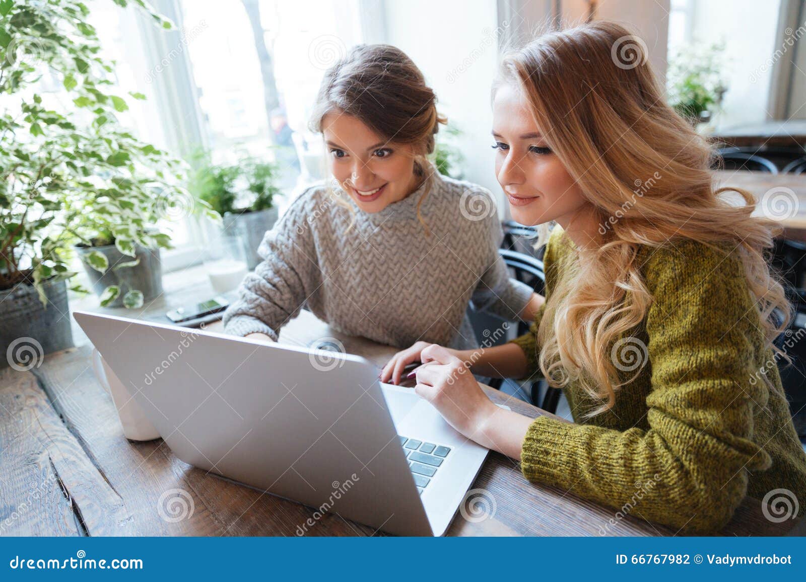 Women Using Laptop Computer in Restaurant Stock Photo - Image of ...