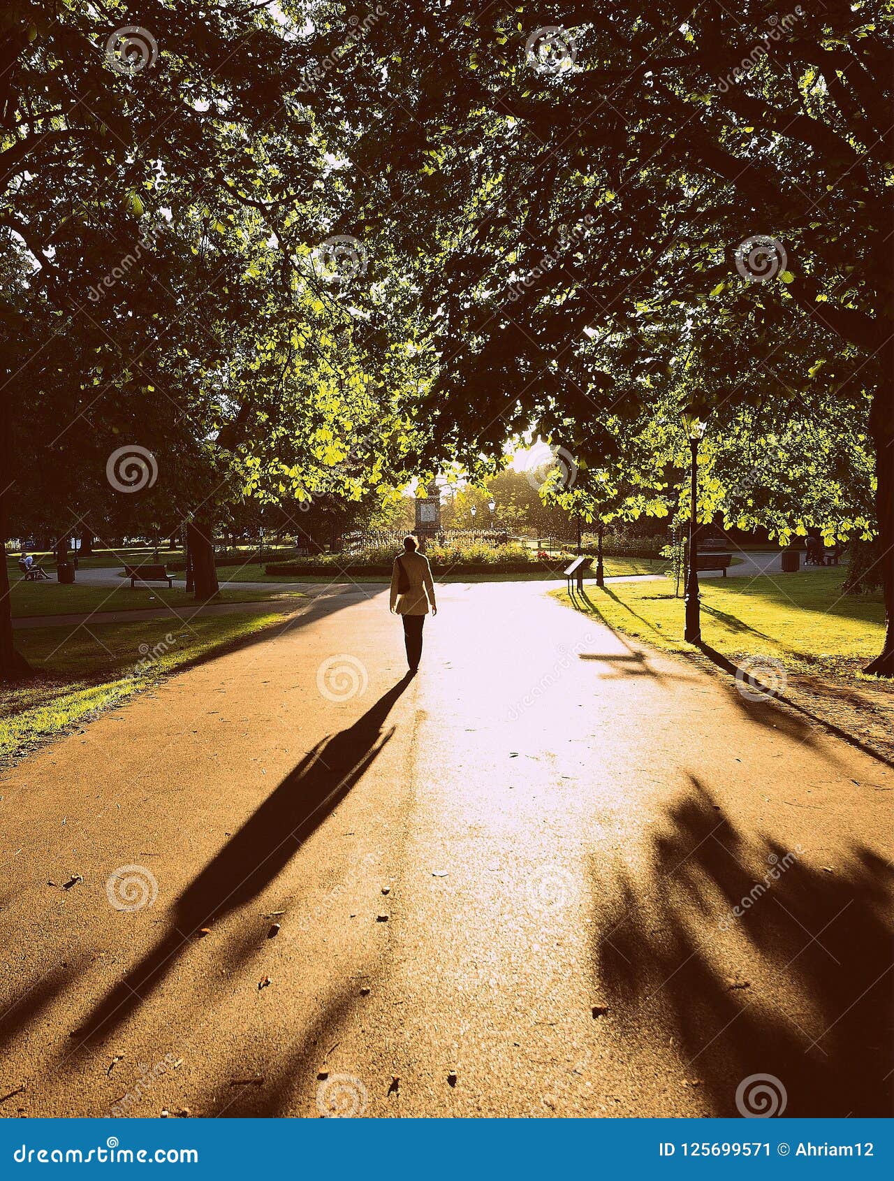 Women Walking into Sunset at the Park Stock Image - Image of dawn ...