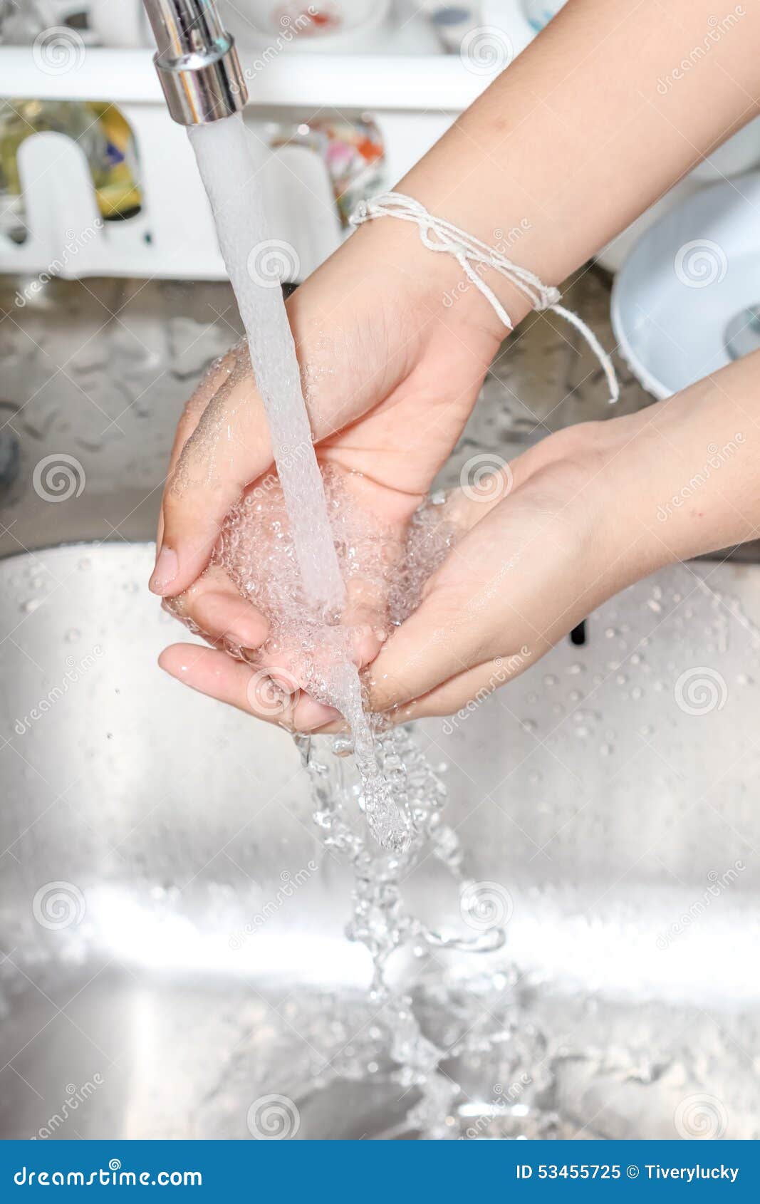 Women washing hand stock image. Image of catering, woman - 53455725