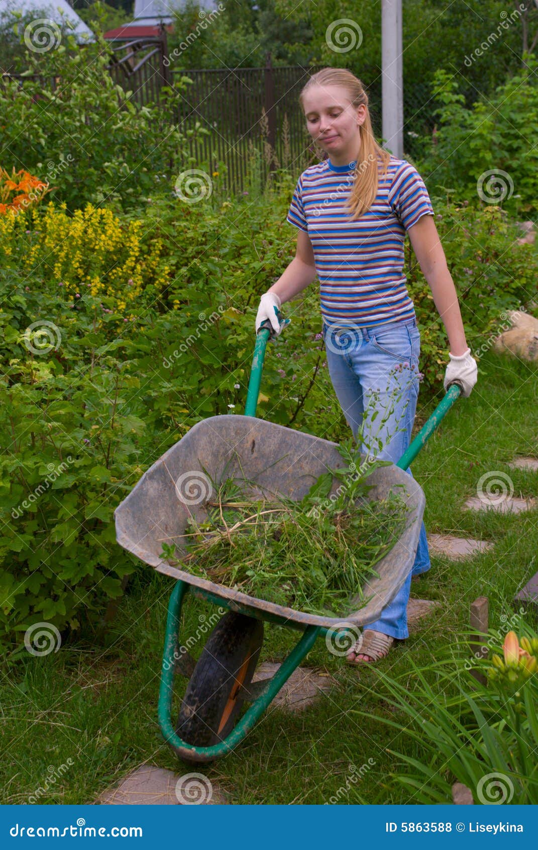 Women wheel a barrow stock photo. Image of hand, care - 5863588