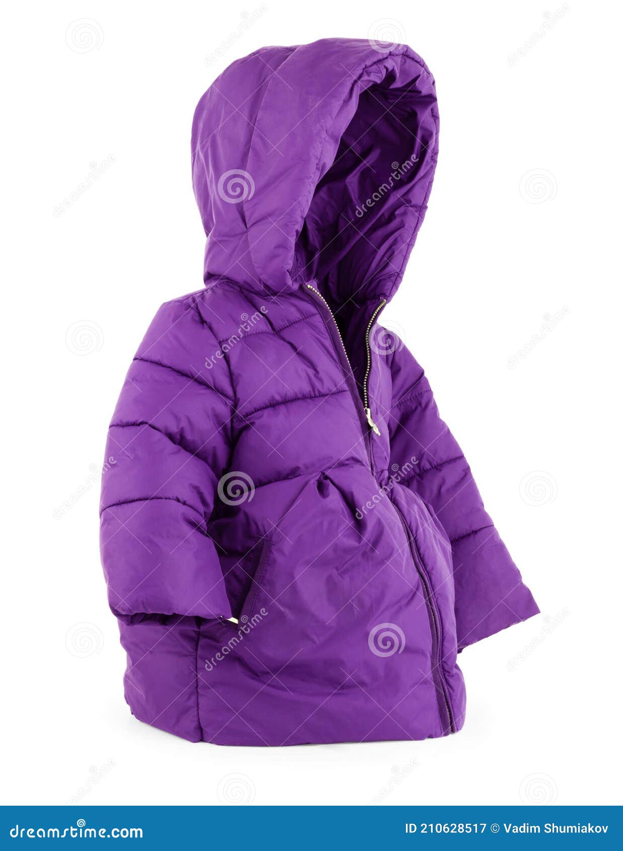 Women Winter Jacket on White Background Stock Image - Image of women ...