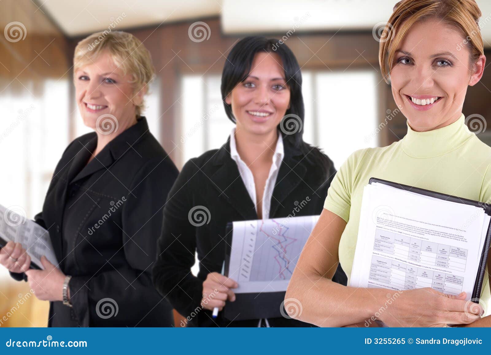Women at work stock image. Image of achievement, cheerful - 3255265