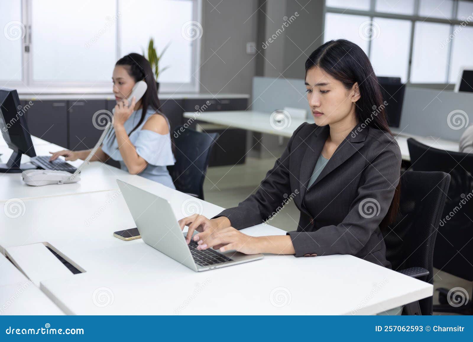 Women Work in the Office stock image. Image of colleague - 257062593