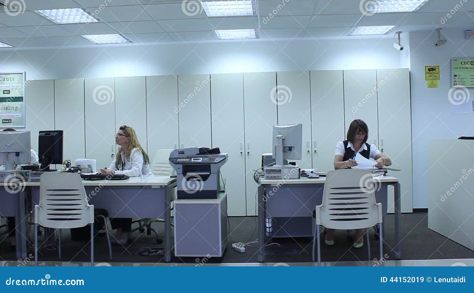 Women Working Bank Office Stock Footage & Videos - 185 Stock Videos