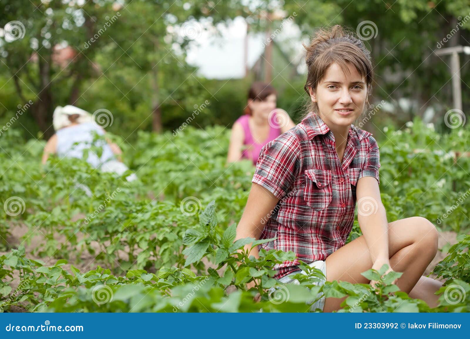 Women Working in Her Garden Stock Photo - Image of person, rake: 23303992
