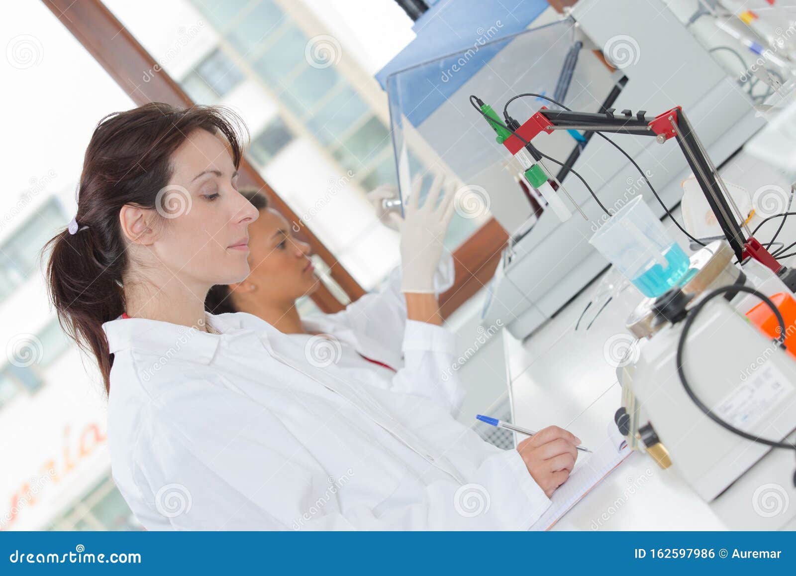 Women working in lab stock photo. Image of chemistry - 162597986