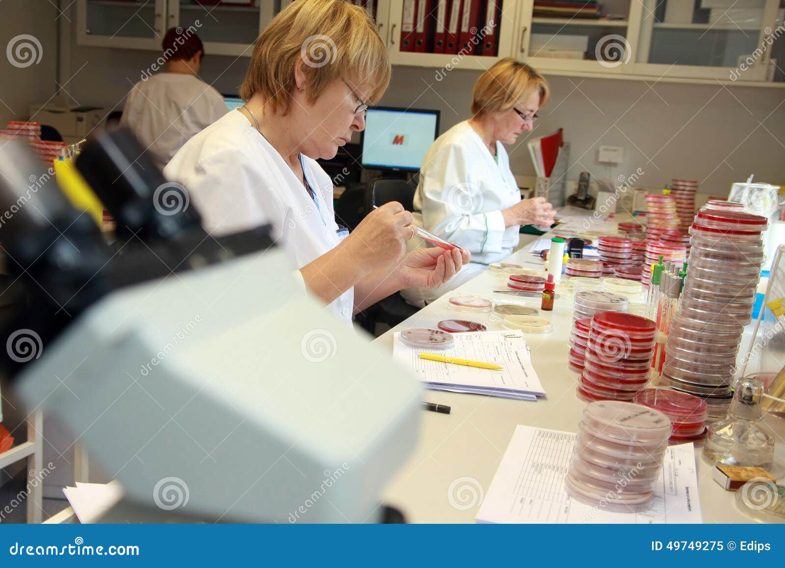 Women working in the lab editorial image. Image of analyzing - 49749275