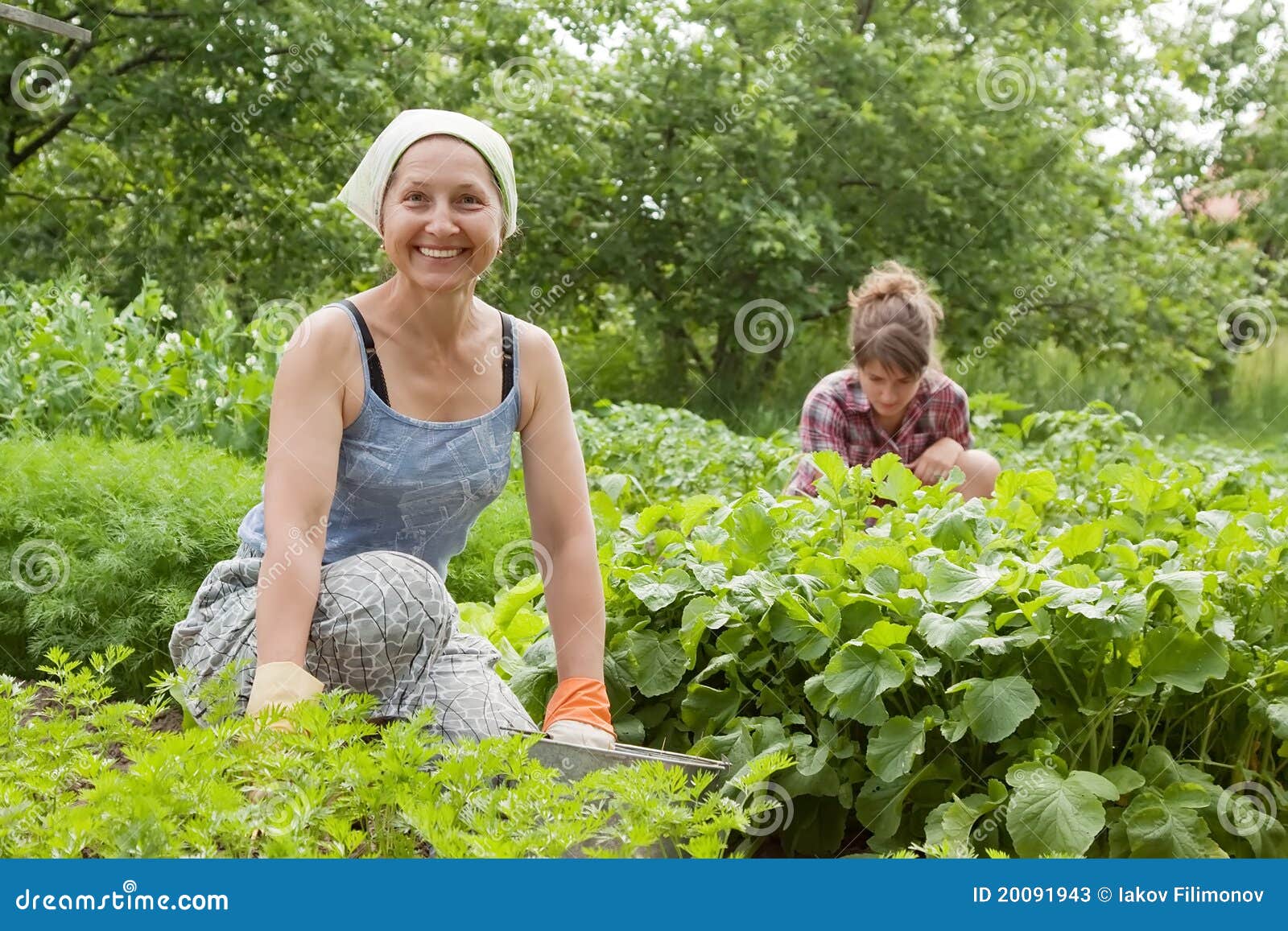 Women Working in Vegetable Garden Stock Image - Image of garden, family ...