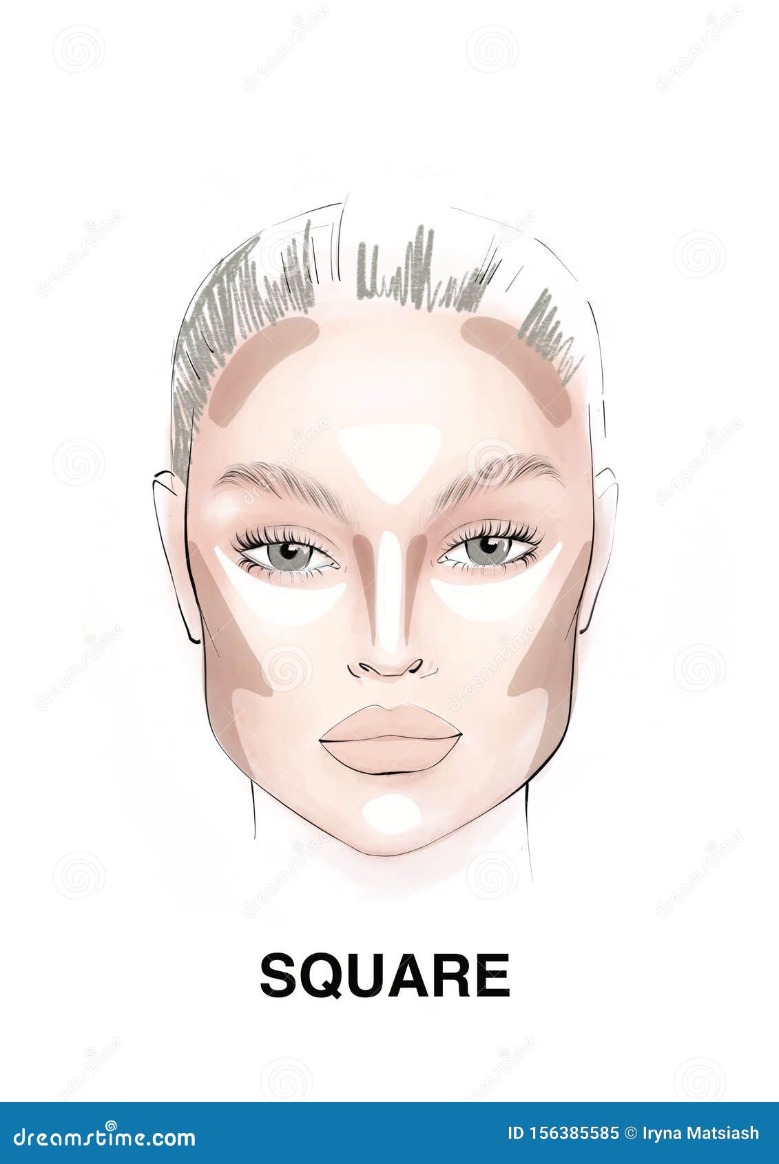 Women face chart in color stock illustration. Illustration of facial ...