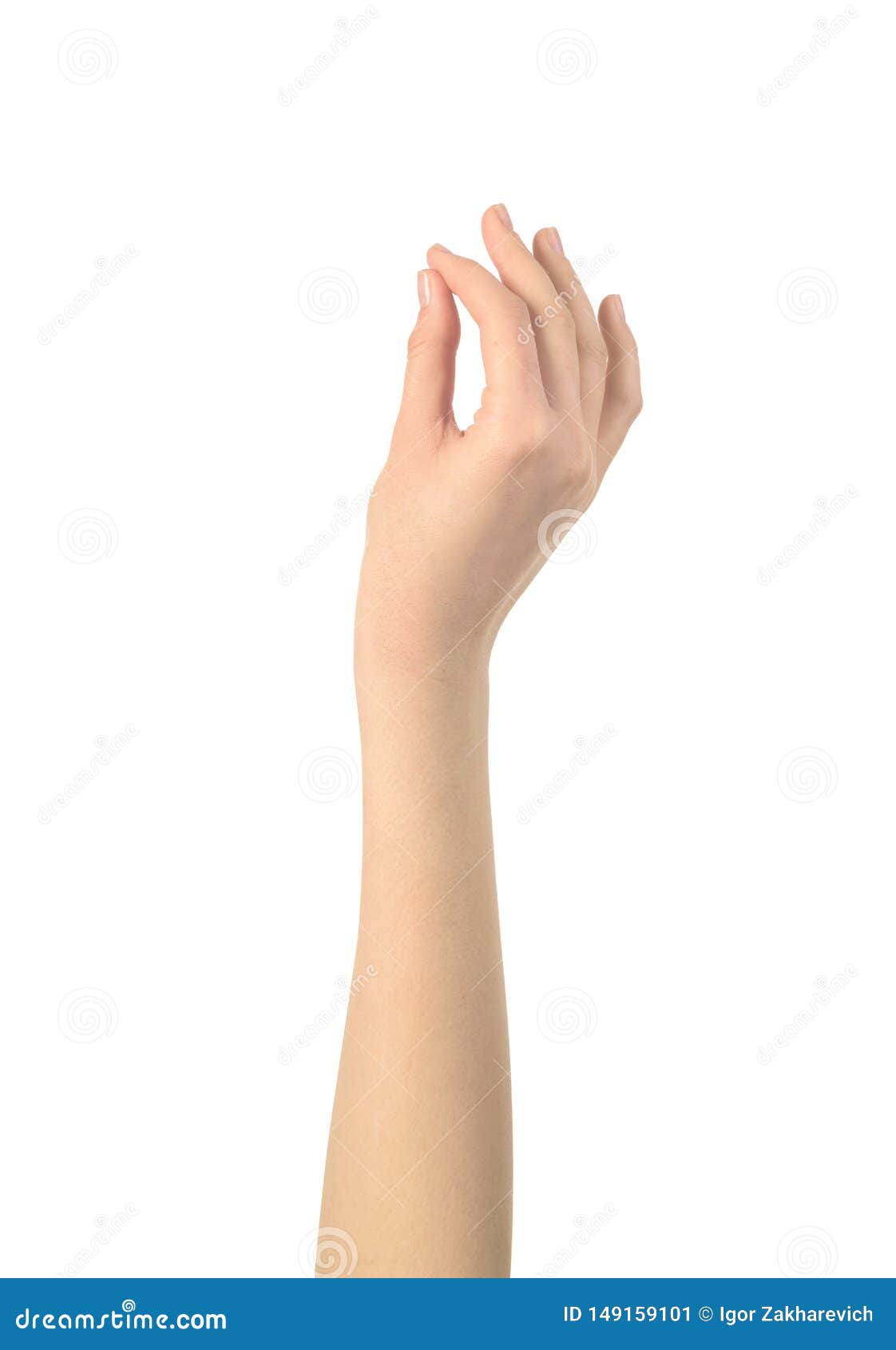 Womens hand hold something stock image. Image of body - 149159101