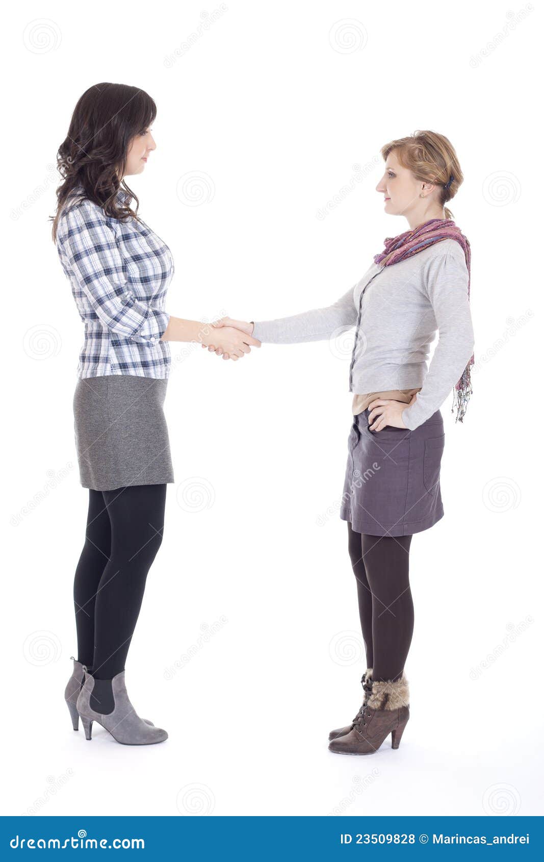 Womens handshake the hand stock photo. Image of positive - 23509828
