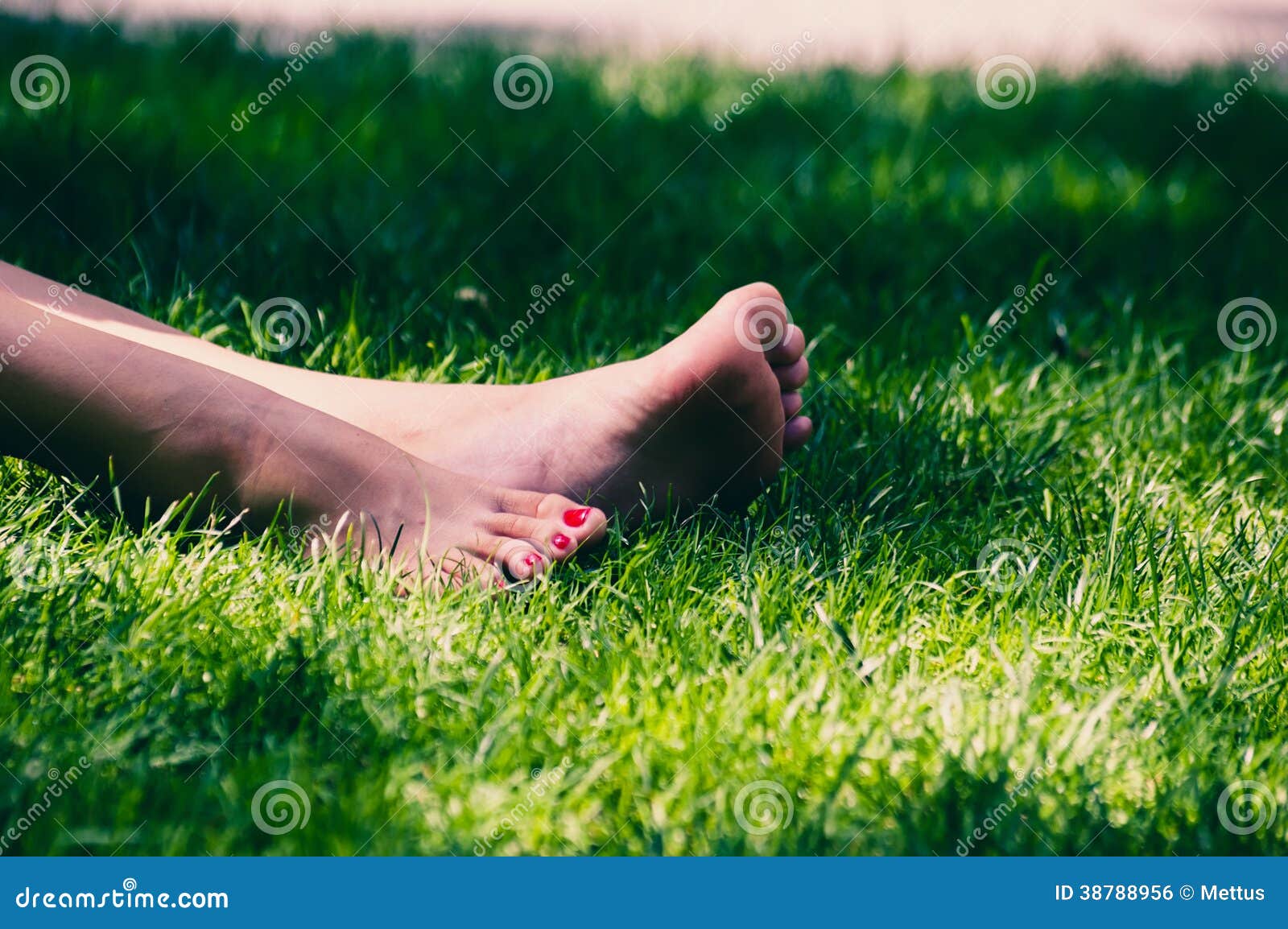 Womens legs on grass stock photo. Image of curves, foliage - 38788956