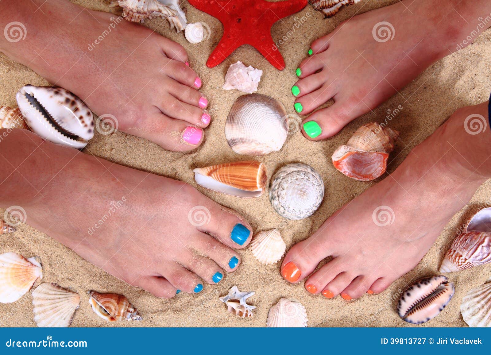 Womens Legs Sand Shells Stock Photos - Free & Royalty-Free Stock Photos ...
