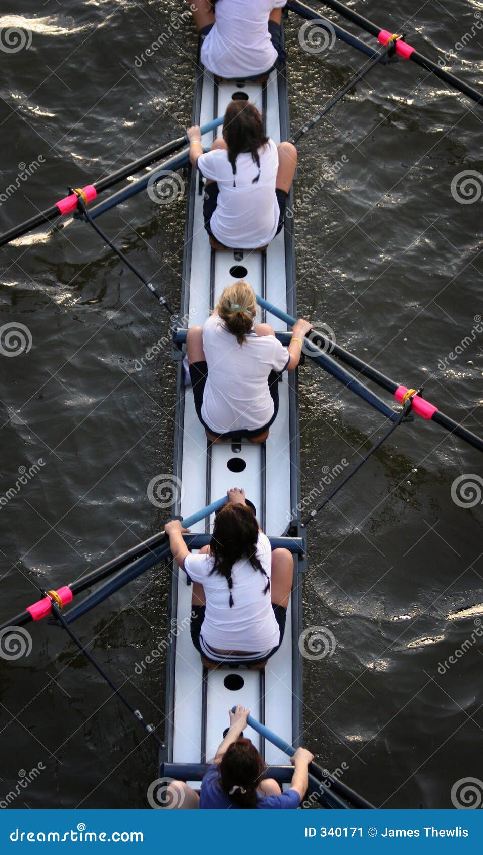 Womens rowing team editorial photo. Image of work, team - 340171