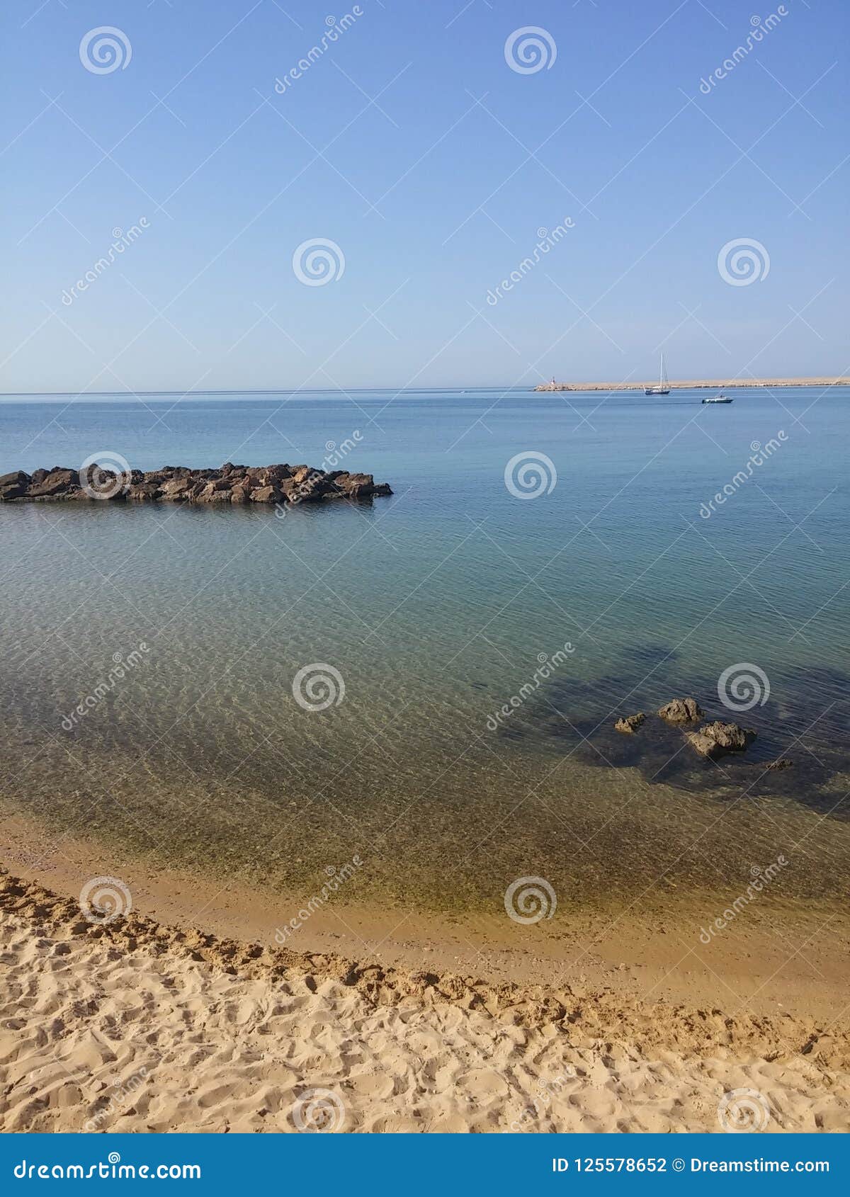 Taste of sea stock photo. Image of taste, summer, beautiful - 125578652