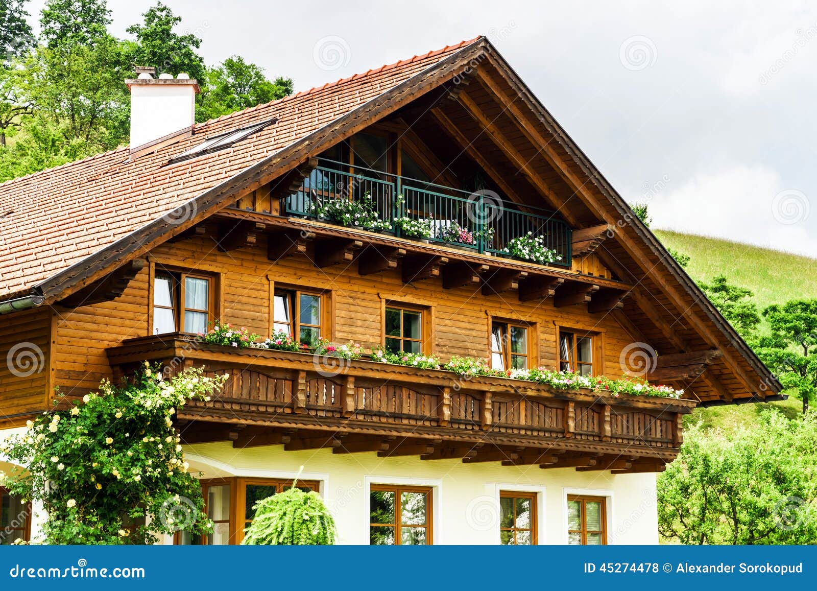 Austrian Alpine Home Designs