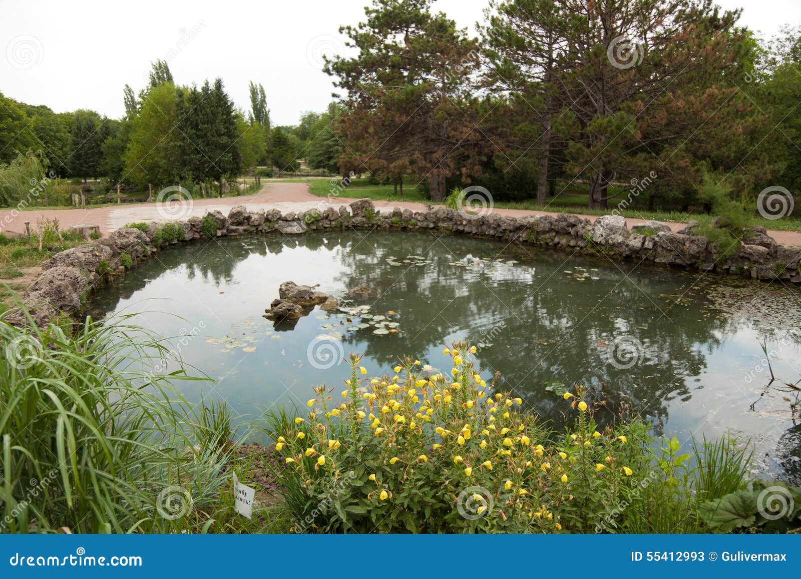 Wonderful Artificial Pond in City Park Stock Image - Image of ...
