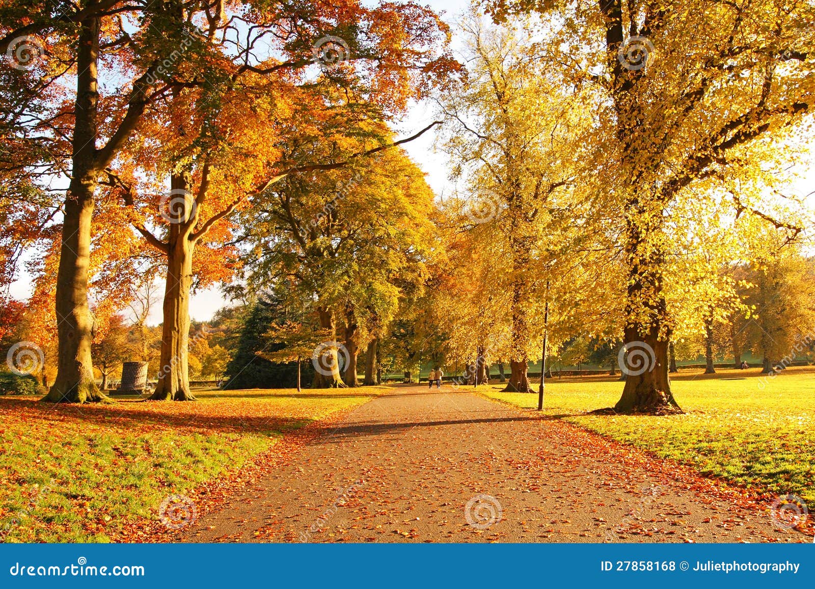 Wonderful Autumnal Scene in the Park Stock Photo - Image of light, leaf ...