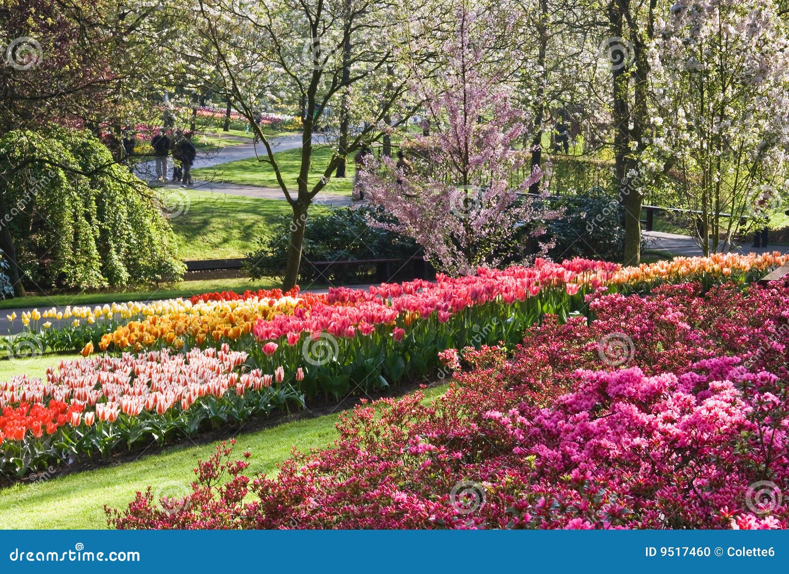 Wonderful Blooming Spring Garden in April Stock Photo - Image of ...