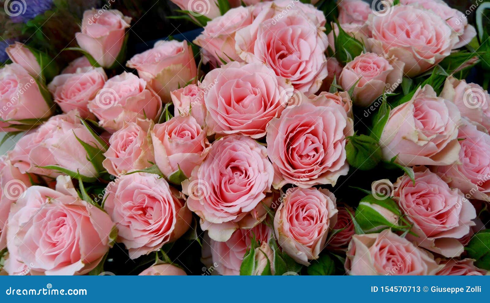A Wonderful Bouqet of Tiny Pink Roses Stock Image - Image of tiny ...