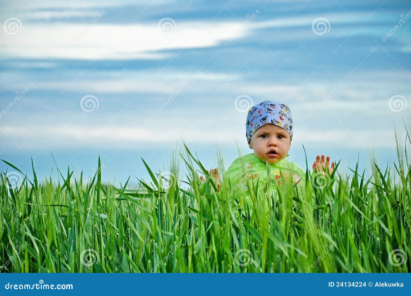 Wonderful child stock photo. Image of grass, field, blue - 24134224