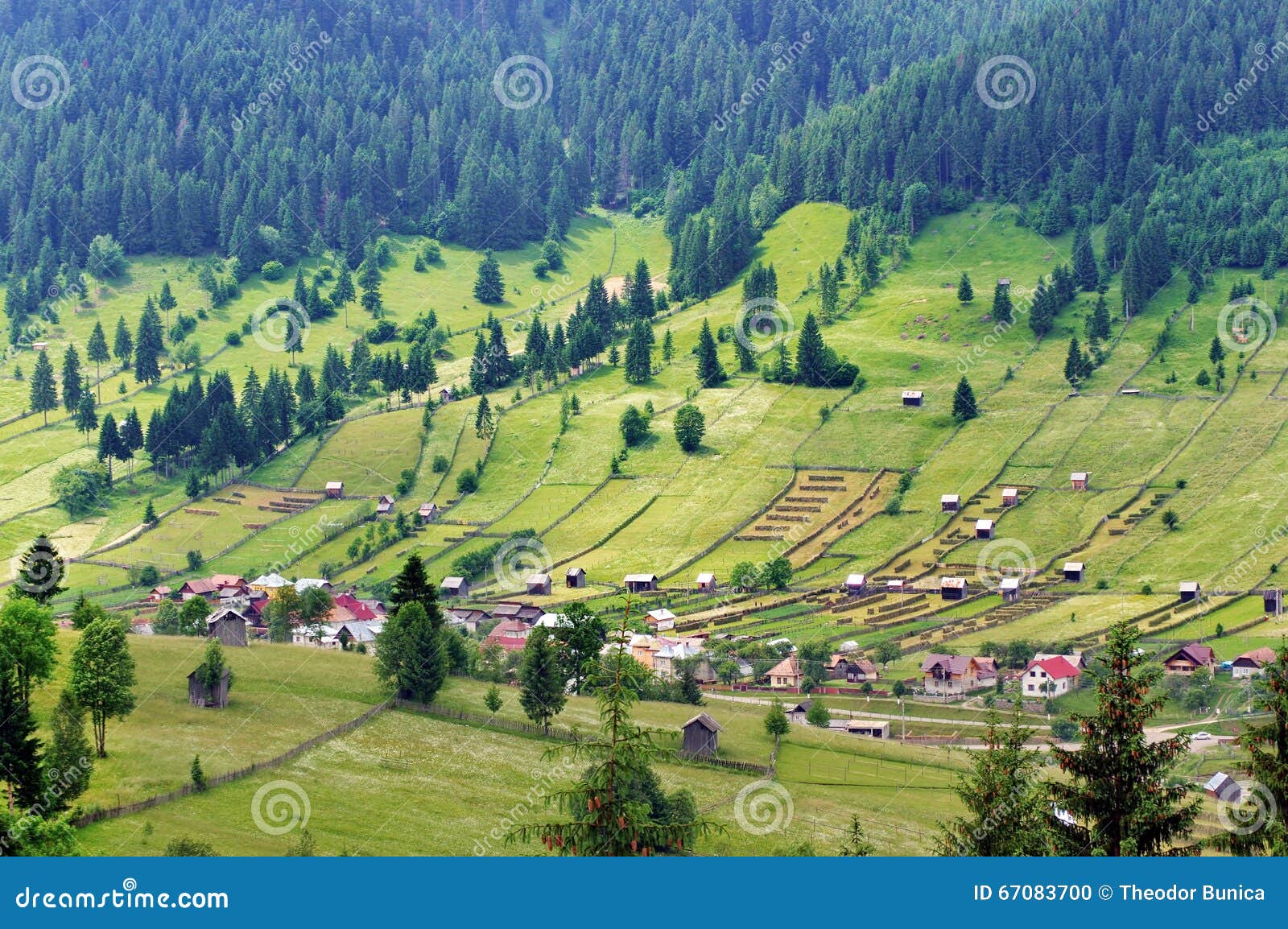 Hilly Landscape And Green Bushes Amongst The Sandy Tracks Of Caminho Da ...