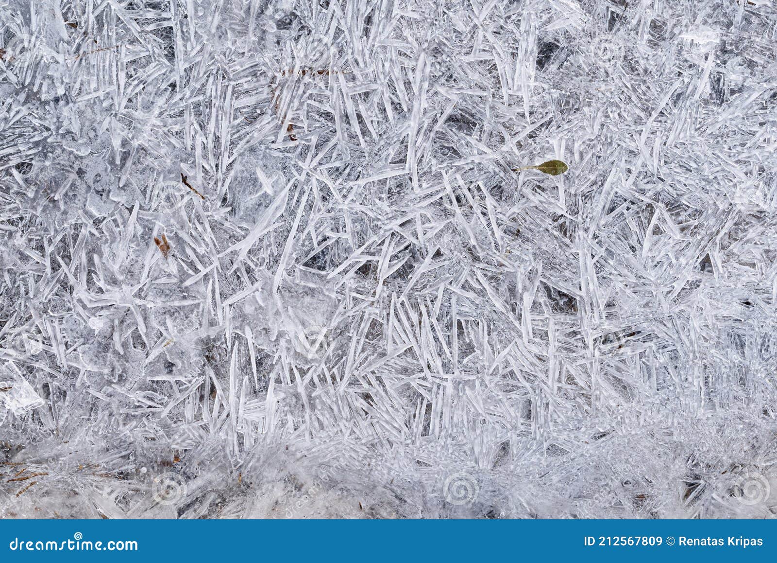 Wonderful Macro Ice Crystals, Cold Formations Stock Image - Image of ...