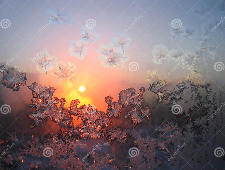 Wonderful morning #1 stock photo. Image of congeal, bird - 3436670