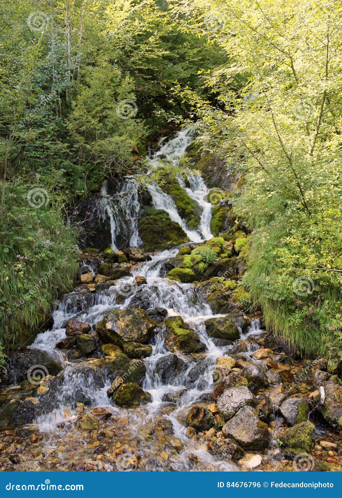 Wonderful Mountain Stream with Fresh Water Stock Photo - Image of ...