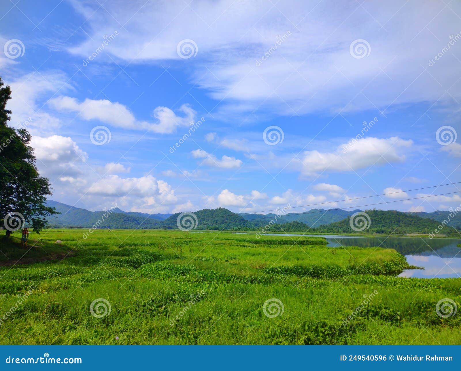 Wonderful Nature in Assam; India Stock Photo - Image of wonderful ...