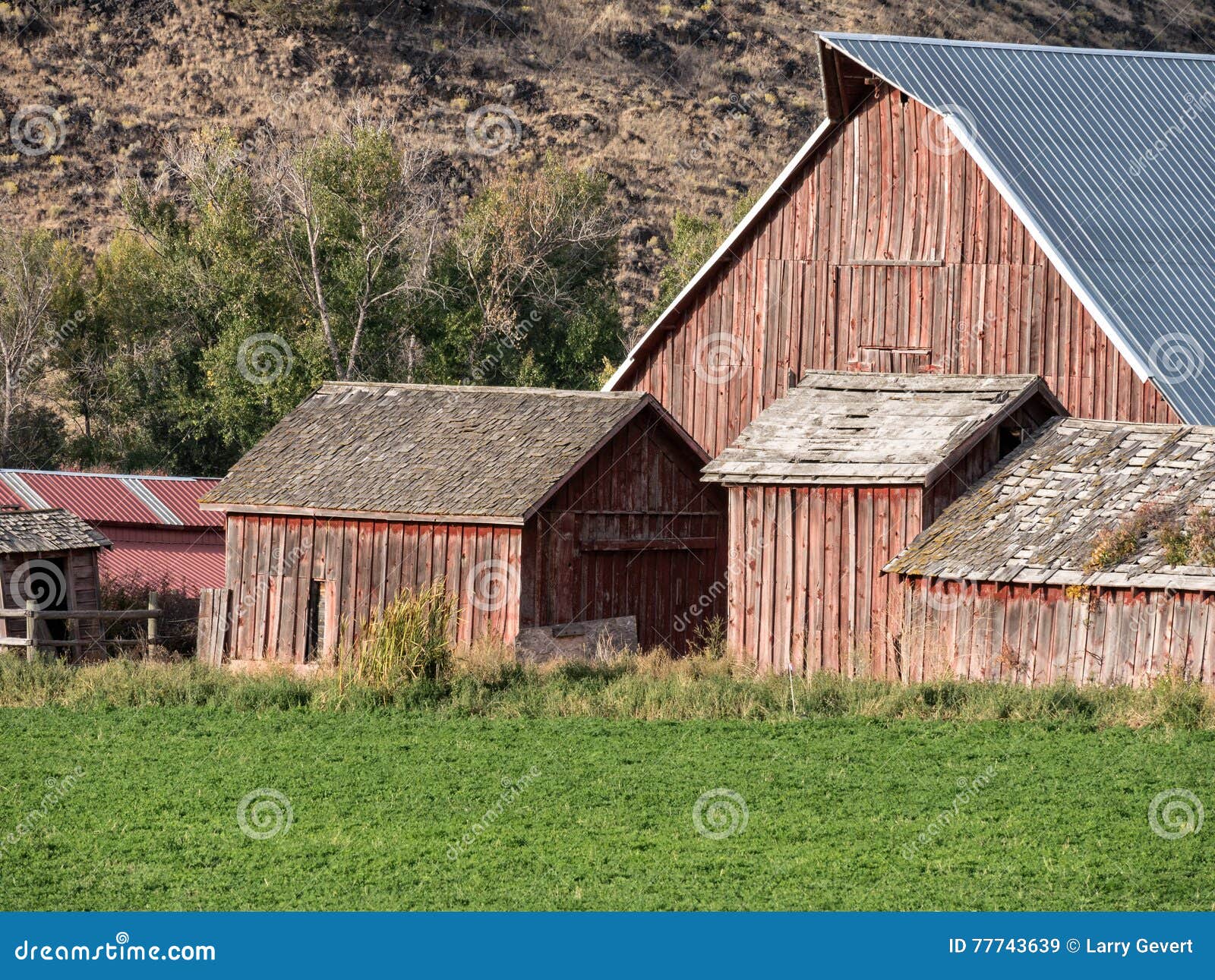 Wonderful Old Ranch Outbuildings Stock Image - Image of environment ...