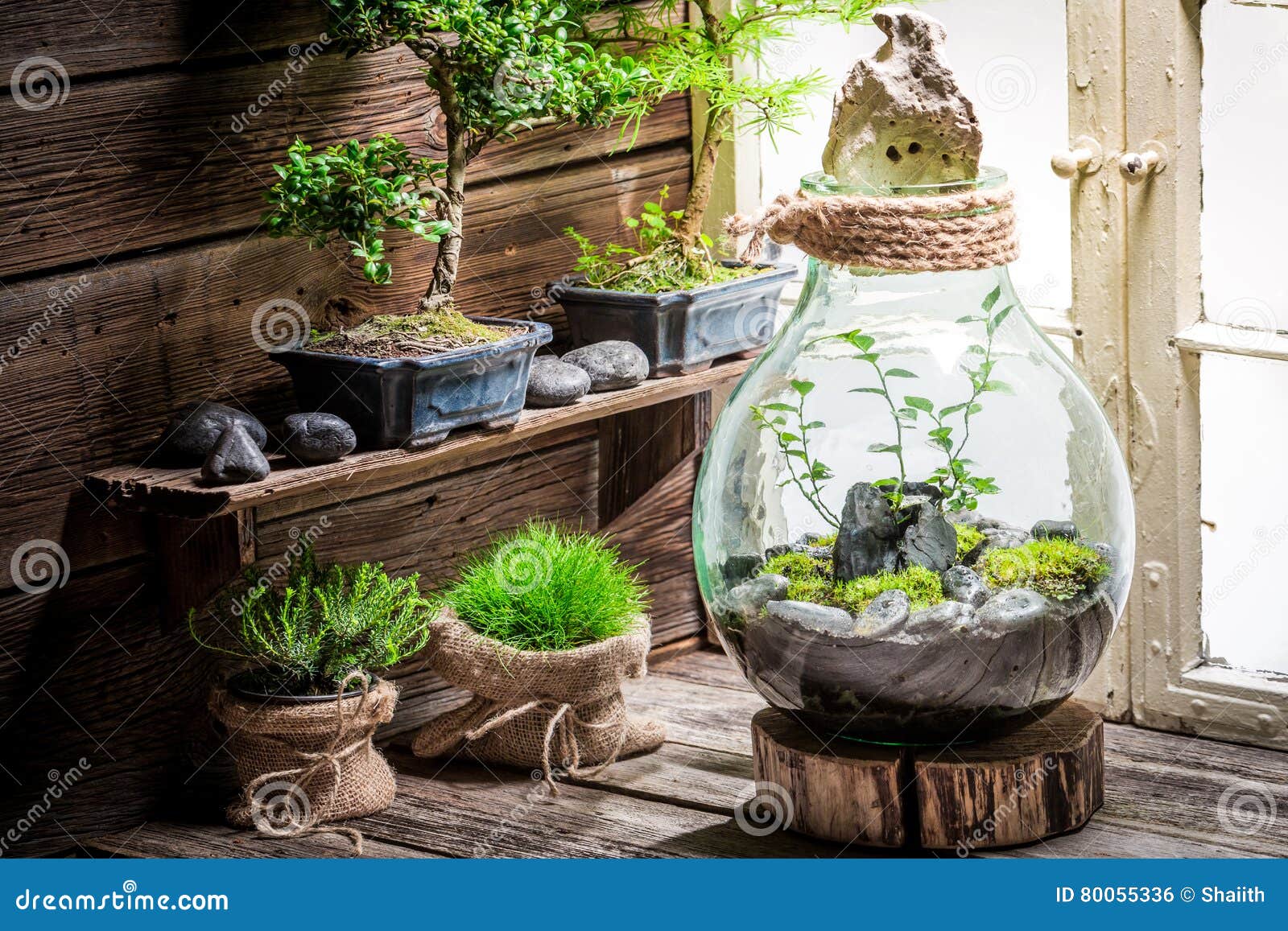 Wonderful Rain Forest in a Jar with Self Ecosystem Stock Photo - Image ...