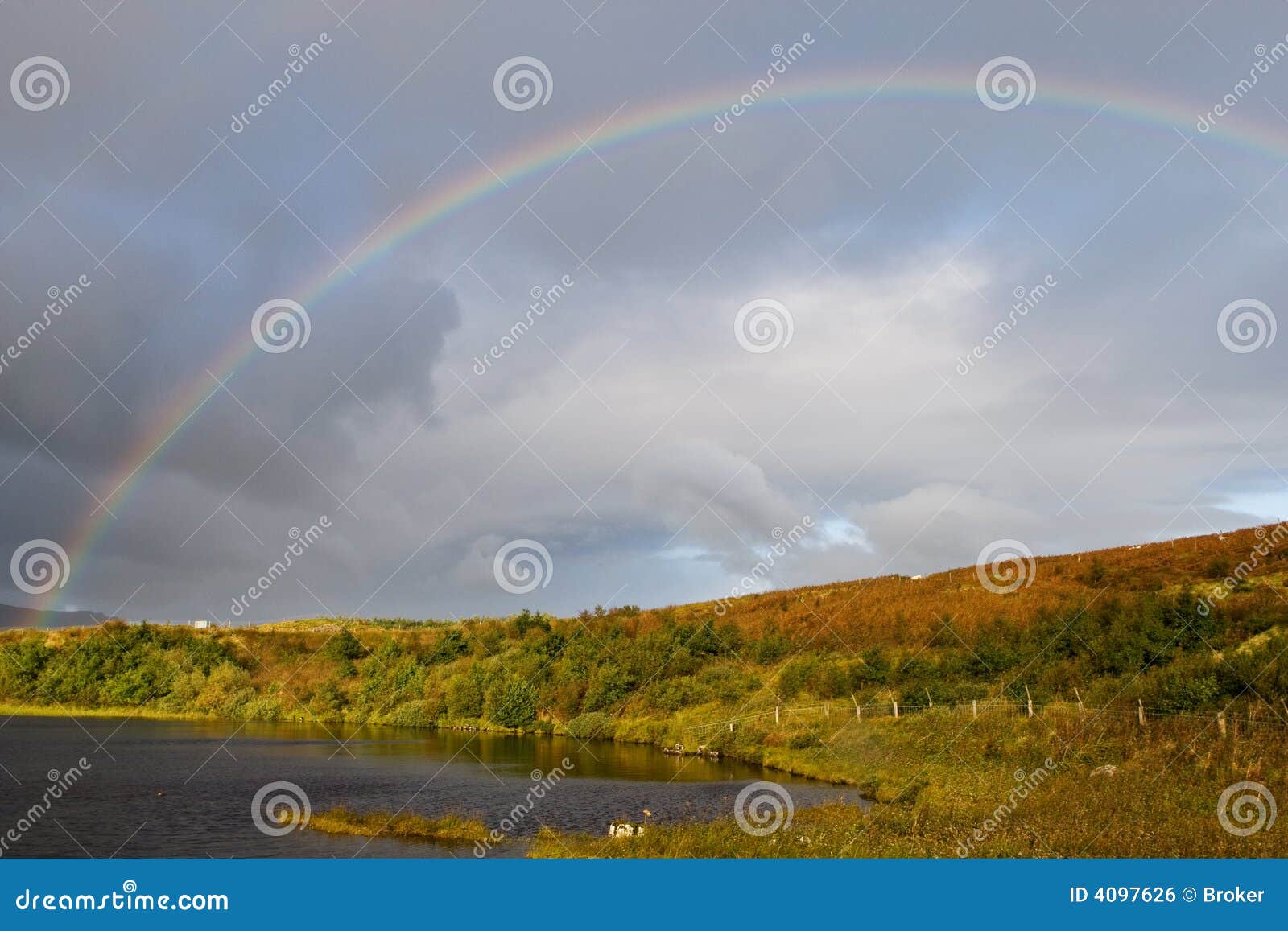Wonderful Rainbow in Scotland Stock Photo - Image of early, pasture ...