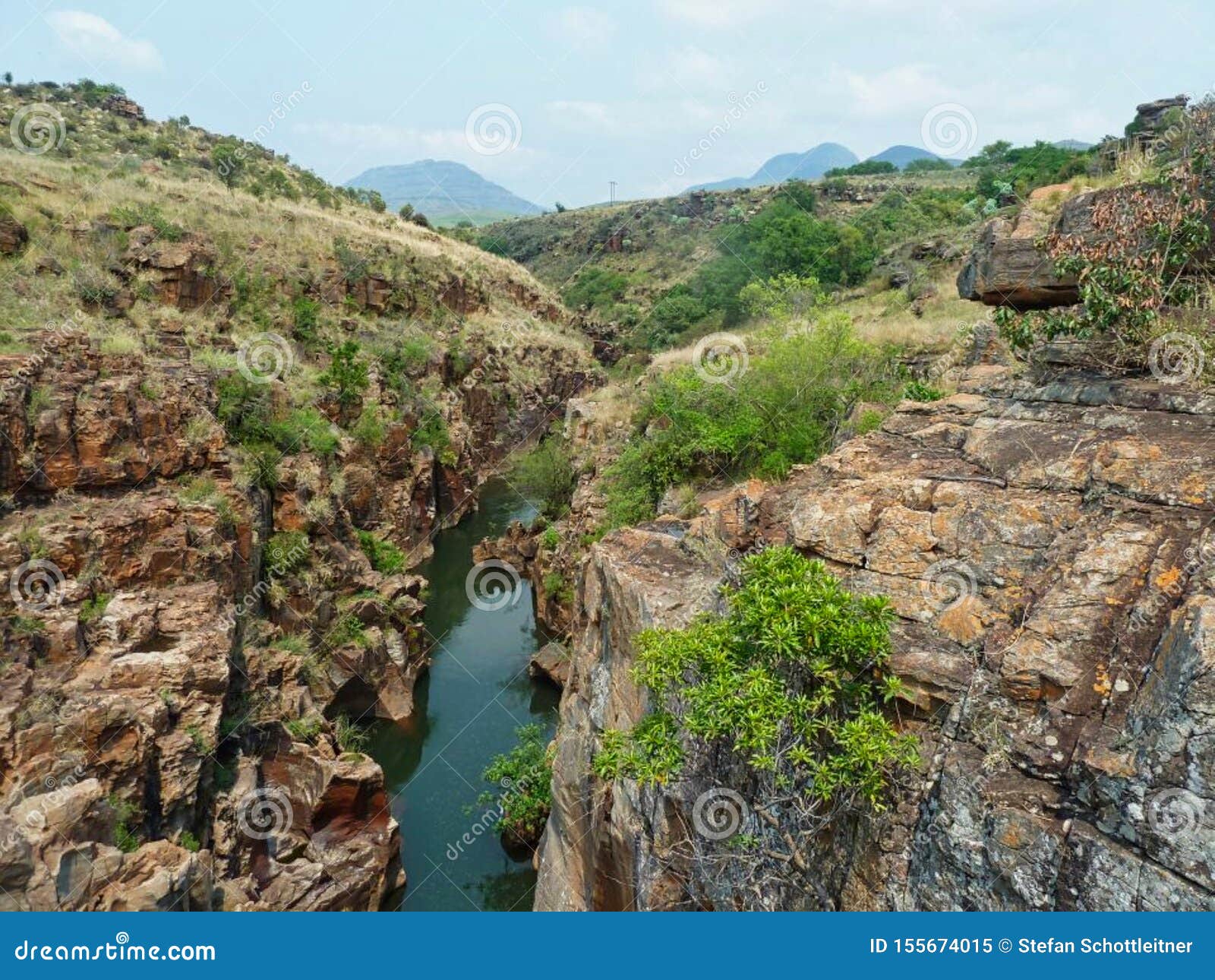 Wonderful River between Rocks at Summer Stock Image - Image of forest ...