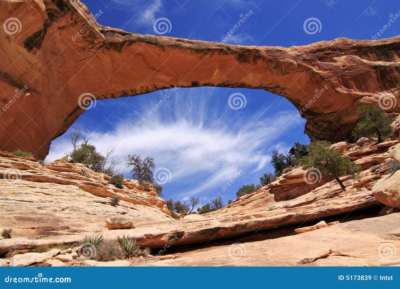 Wonderful Rock Formation Bridge Stock Image - Image of canyon, extreme ...