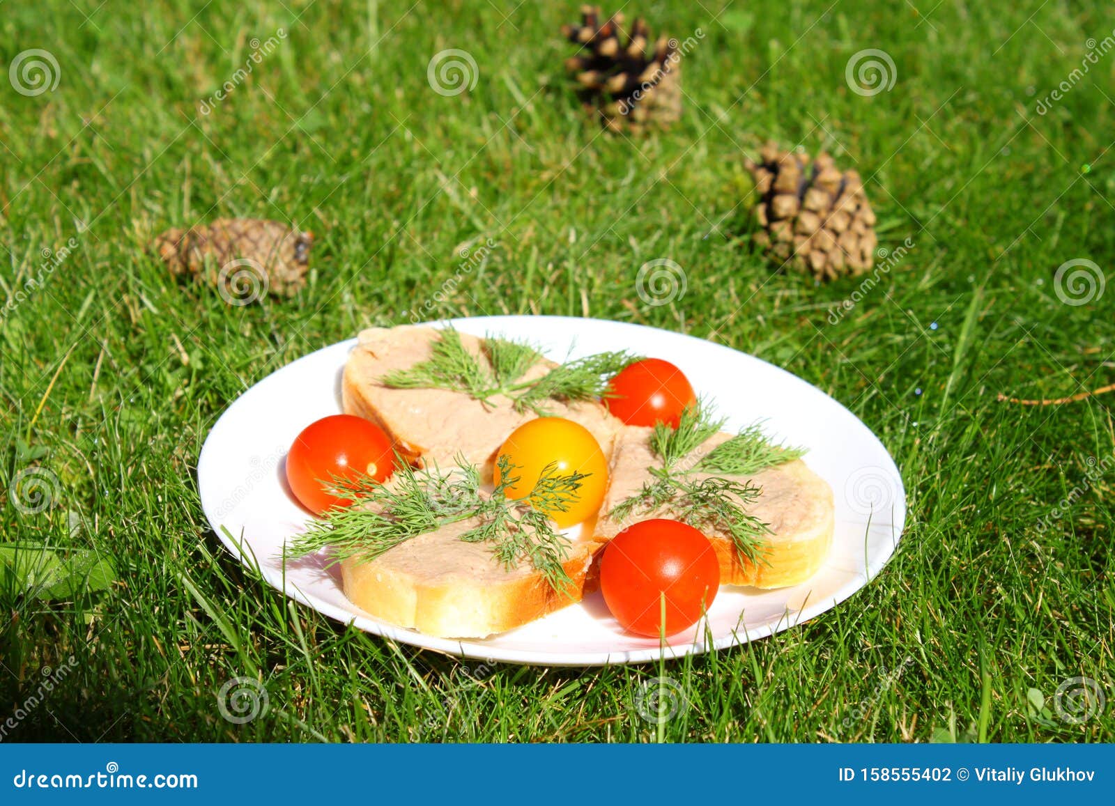 Breakfast on grass stock photo. Image of white, simple - 158555402