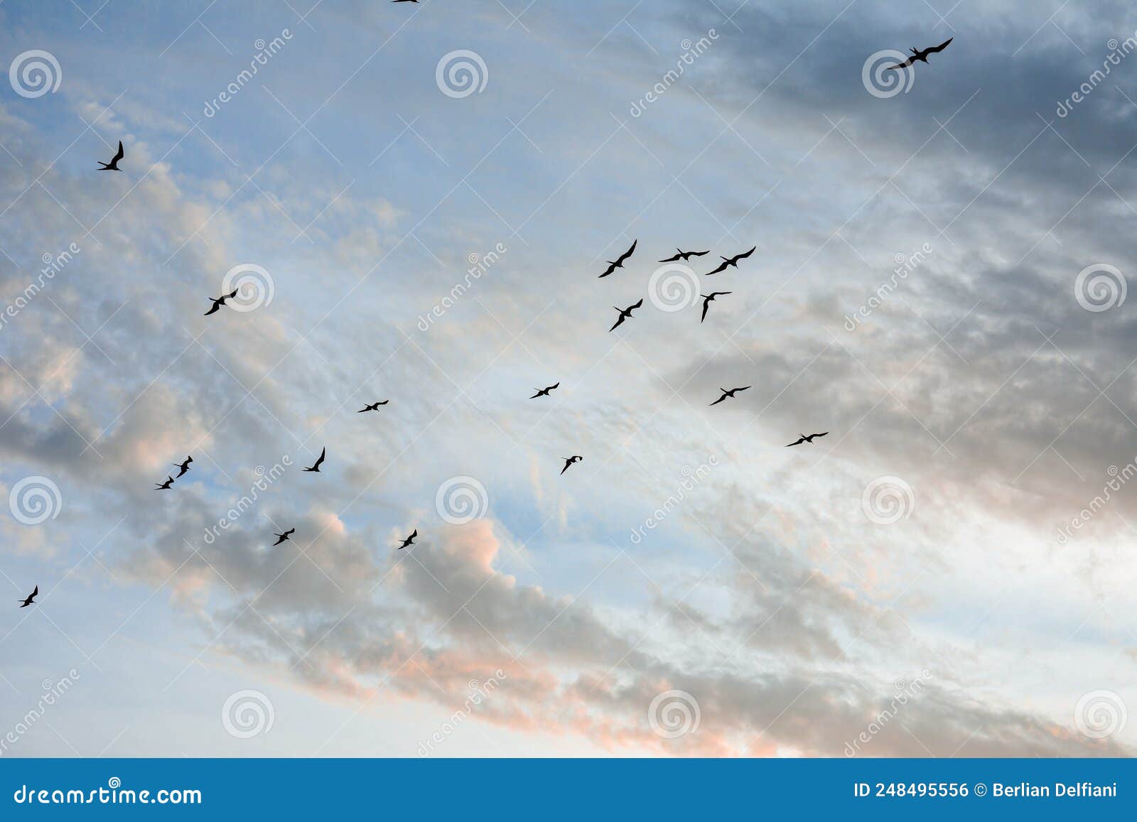Wonderful Sky and Cloud with Flying Birds Stock Photo - Image of wind ...